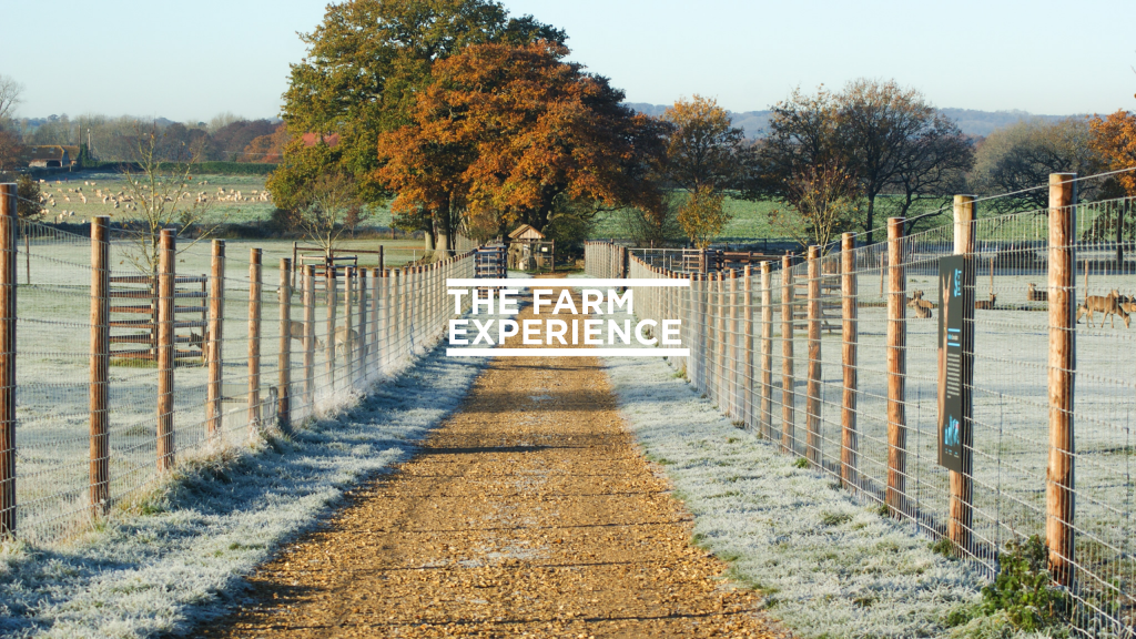 Our Farm - Sky Park Farm