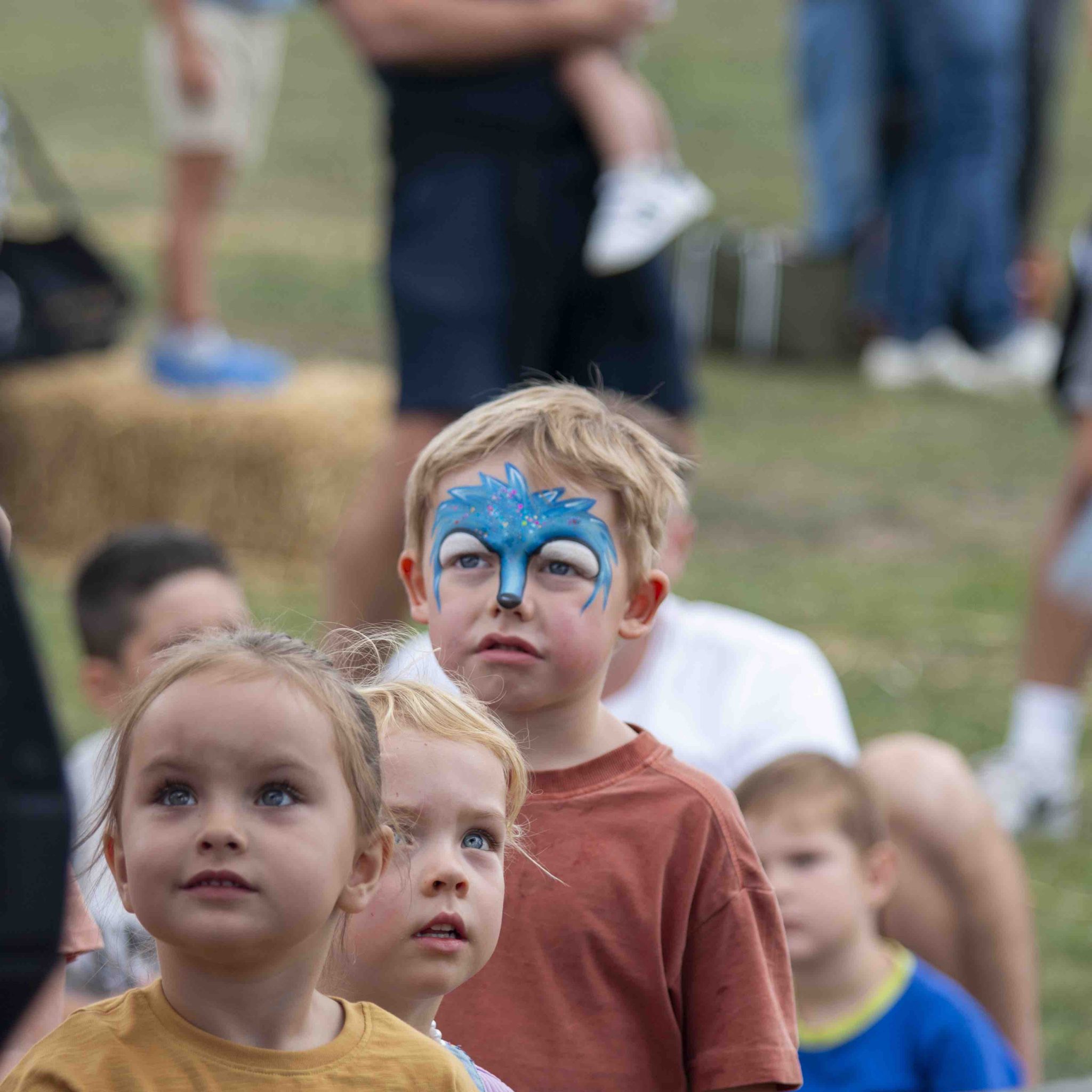 SKYFEST 2026 FAMILY FESTIVAL | Sussex Top Attractions